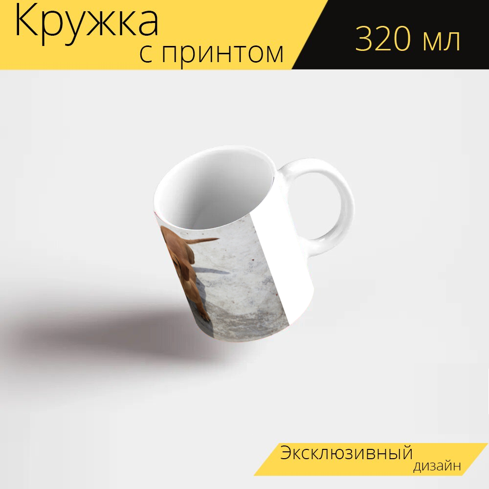 Кружка с рисунком, принтом "Такса, собака, щенок" 320 мл.