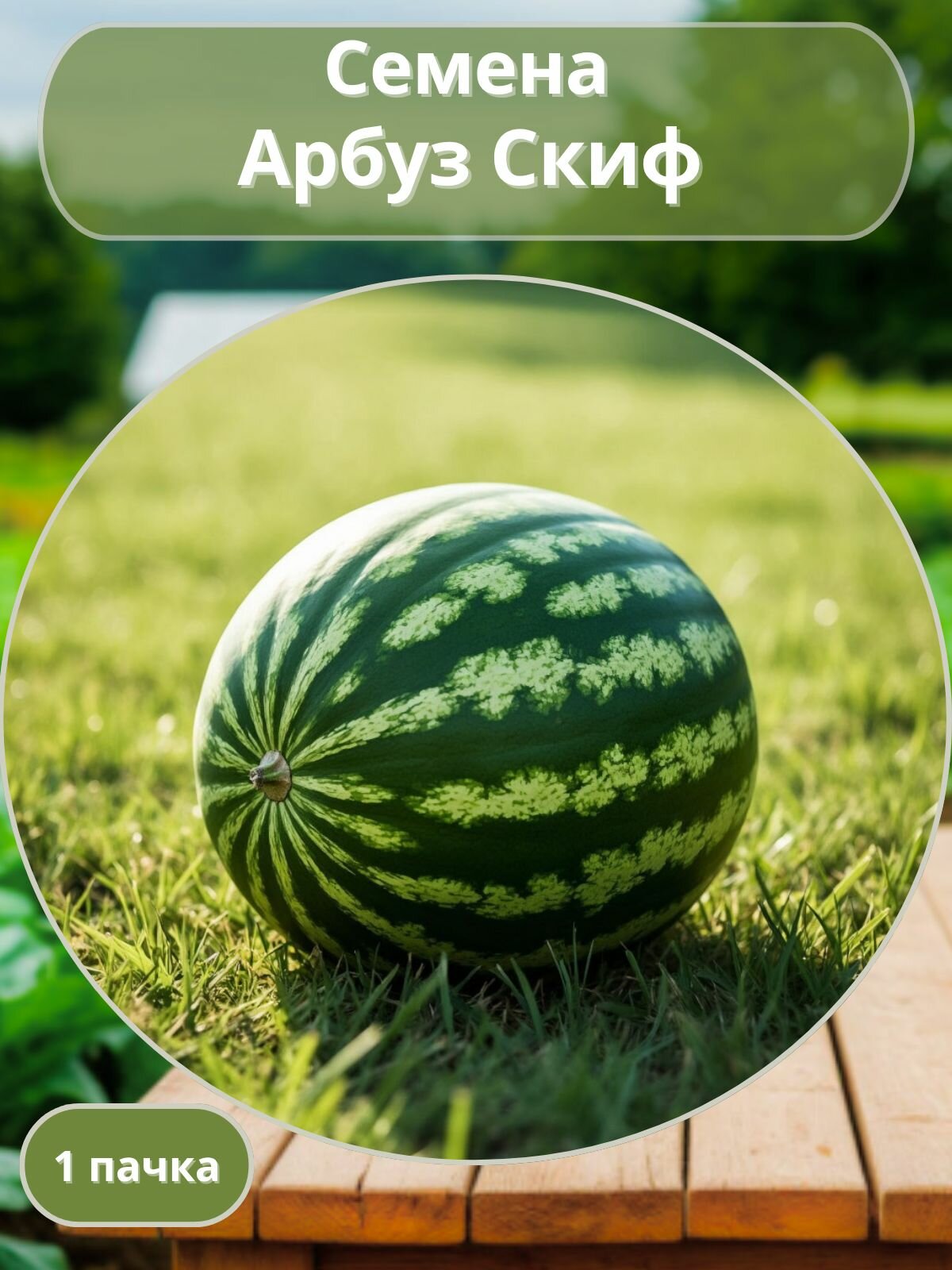Арбуз Скиф, семена 10 шт