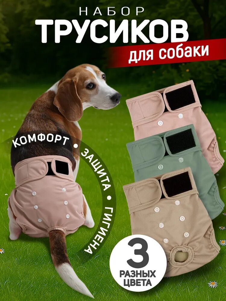 Трусы для собаки во время течки, 3 шт, XXL. подгузники многоразовые, впитывающие на липучках.