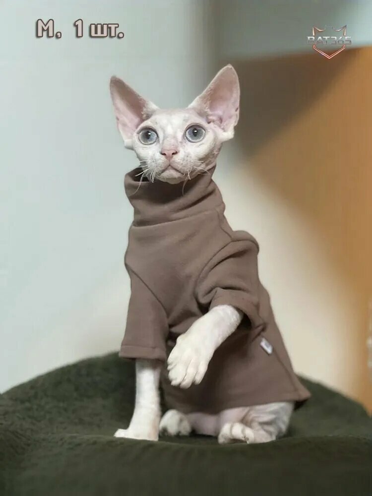 Эксклюзивный наряд для сфинкса, размер XL