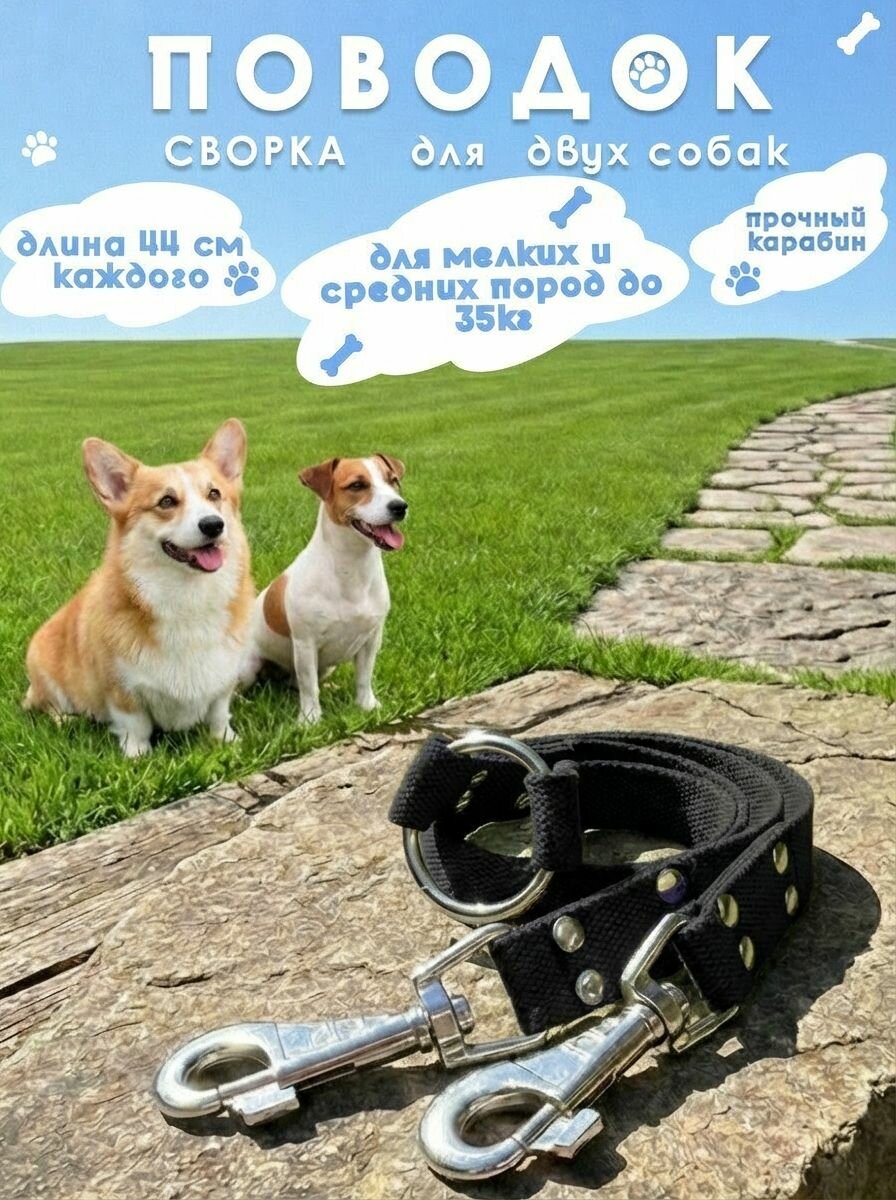 Поводок-сворка EXTREME ELEMENTS для двух собак, нейлон, чёрный