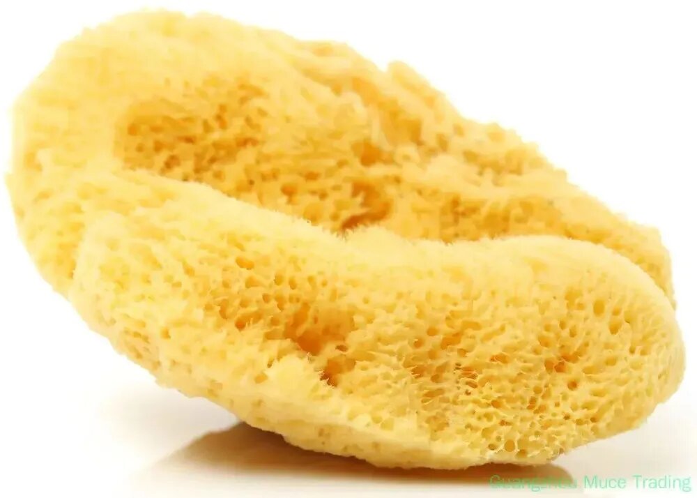 Губка натуральная морская WTJ VSE Ok Baby Silk, цвет Honeycomb10