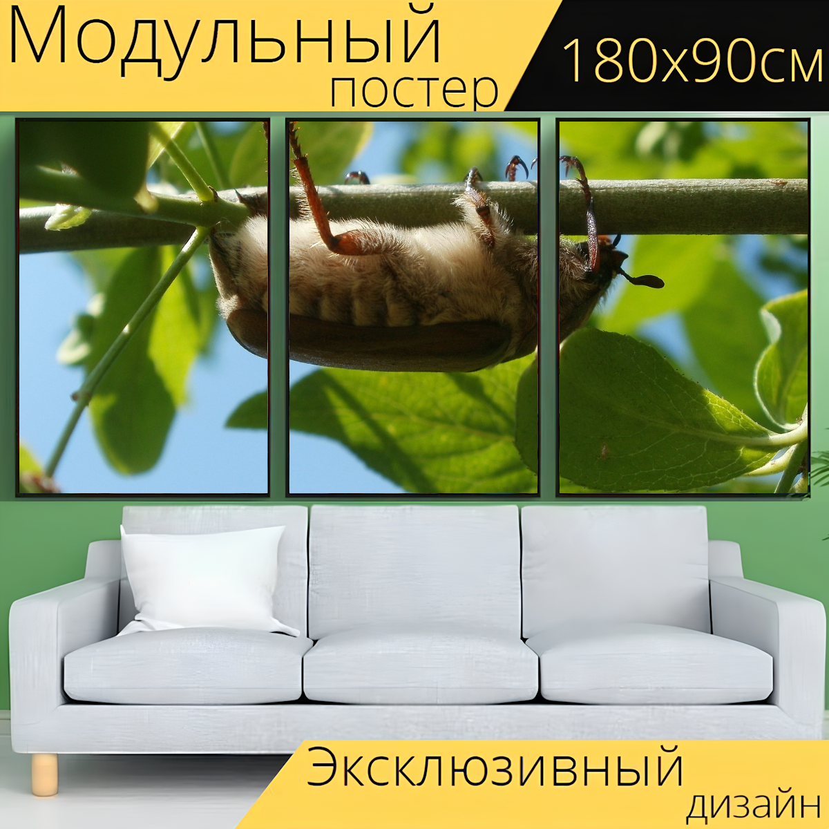 Модульный постер "Майские жуки, жук, насекомое" 180 x 90 см. для интерьера на стену в тубусе