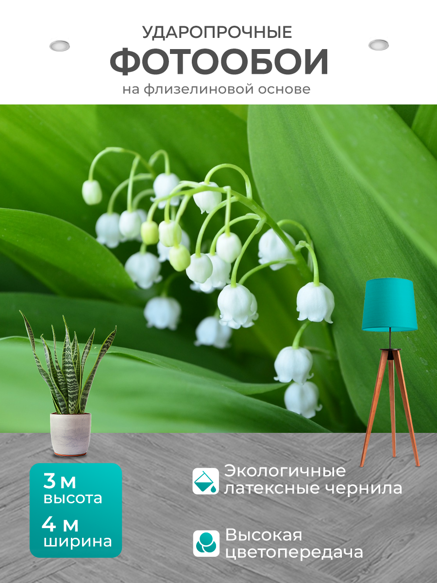 Фотообои моющиеся ударопрочные "Ландыш, цветок, крупным планом" 400x300 см. флизелиновые на стену