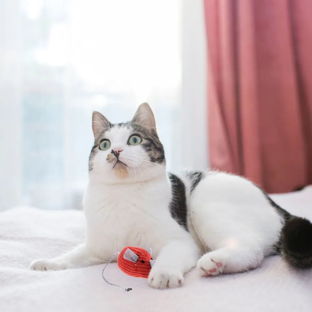 Набор из 6 мягких плюшевых игрушек в виде мышей с кошачьей мятой для декора