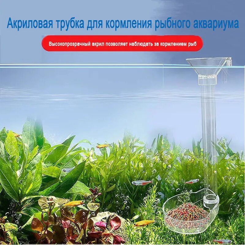 Аквариум с присоской акриловая кормушка для рыб и креветок 22 см
