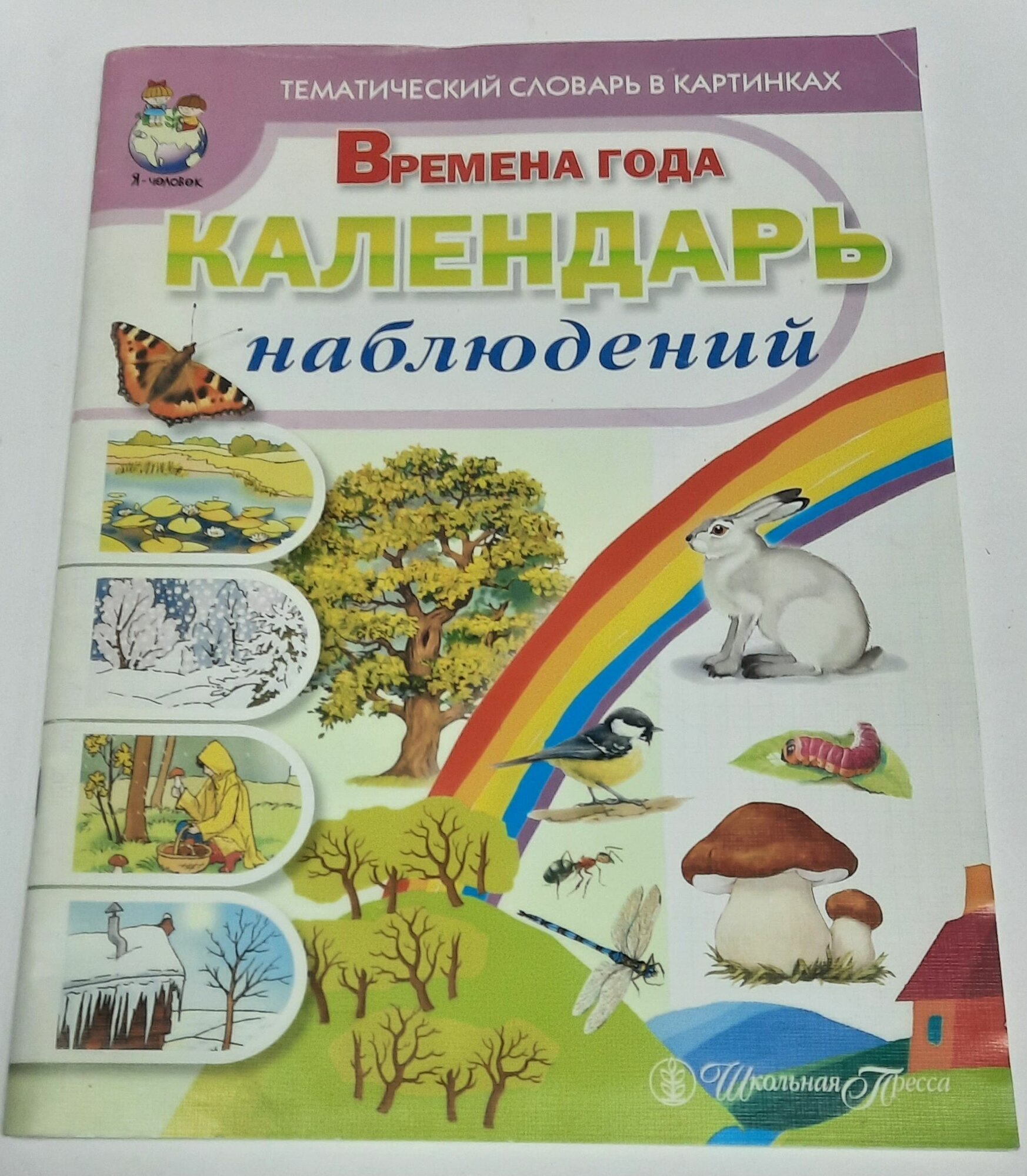Времена года. Календарь наблюдений. Весна. Лето. Осень. Зима