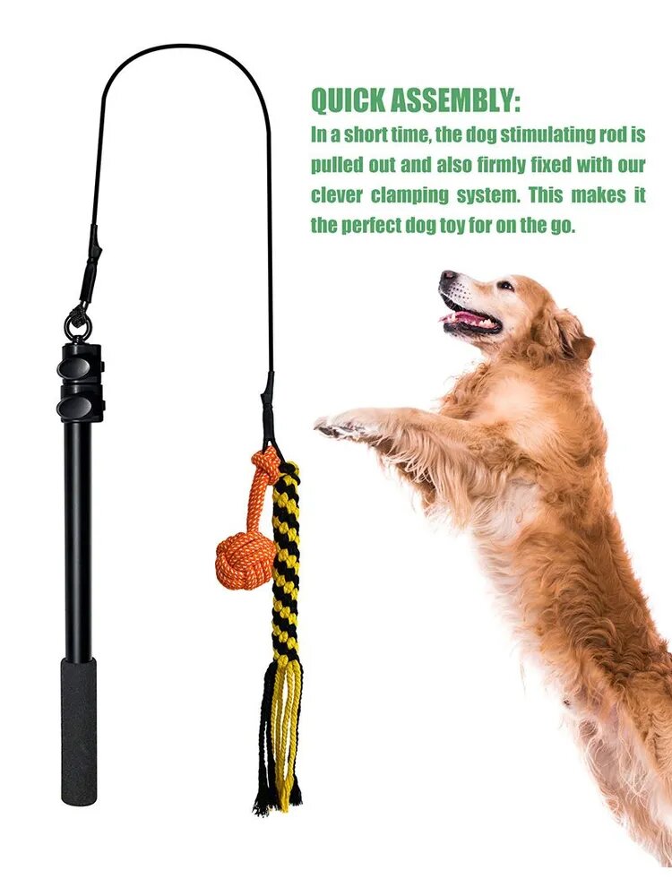 Удочка Для Собак Crazy Dog, палочка для собак с телескопической конструкцией, 102 см, для игры и развития — фото 1