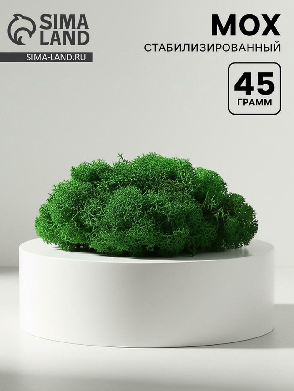 Мох стабилизированный AQUA STORY Дары Сибири «Зелёный» , 45 г (+-5 г).