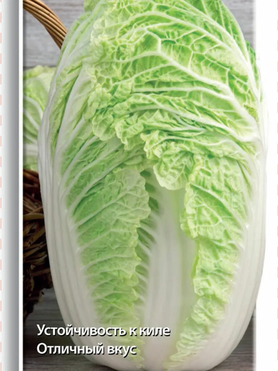 Пекинская капуста Нежность F1 0,1 г, Семена Поиск