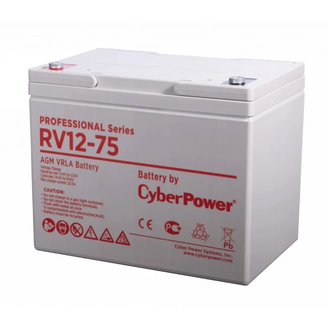 Аккумуляторная батарея CyberPower Professional series RV 12-75, AGM, 12 В, клемма T6 (под болт М6), серый