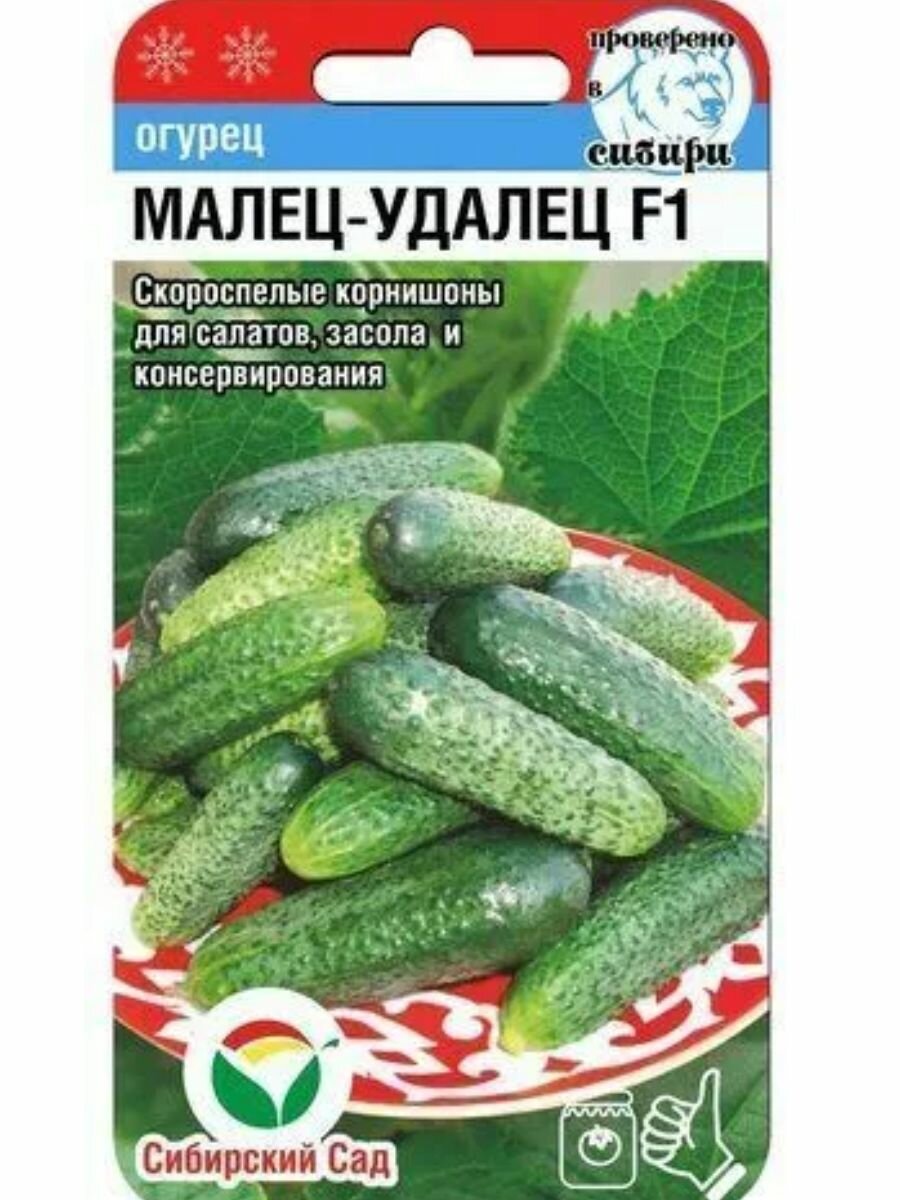 Семена огурцов Малец-удалец F1 7 шт, скороспелые корнишоны для салатов и консервирования