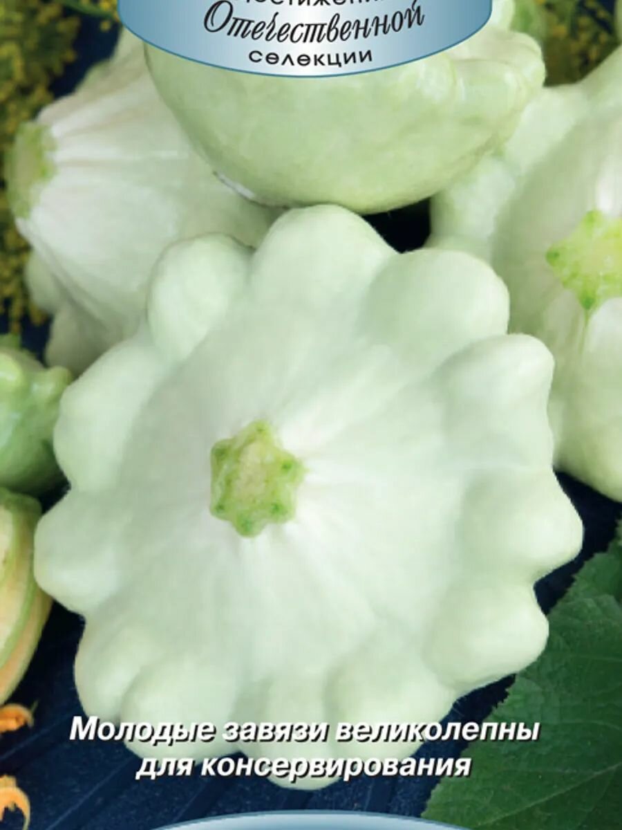 Патиссон Пятачок 12 шт, Семена Поиск