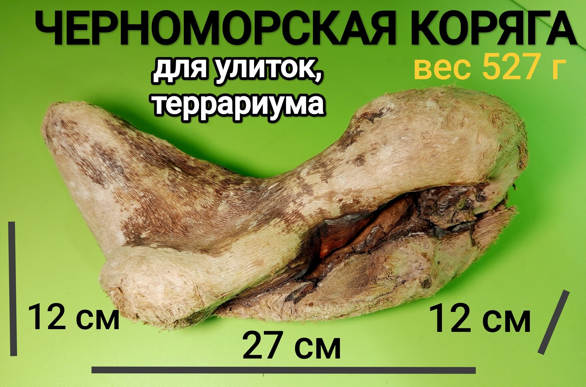 Черноморская коряга остров нежный для улиток, террариума и дизайна.