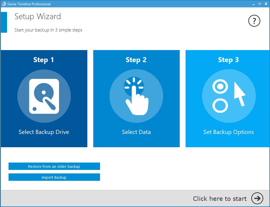 Genie Timeline Professional 10 Ключ • Цифровой ключ • регион Весь мир