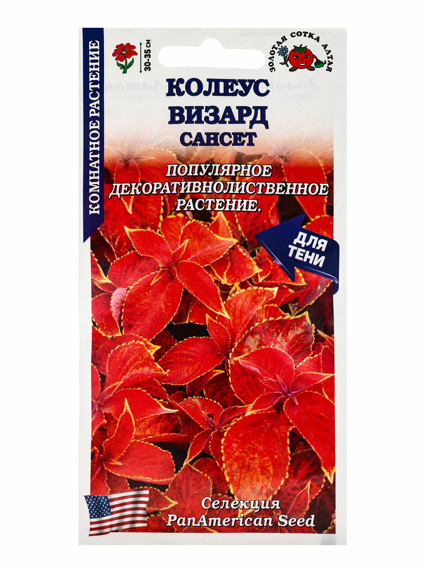 Семена комнатных цветов Колеус "Визард Сансет", 10 шт, селекция PanAmerican Seed