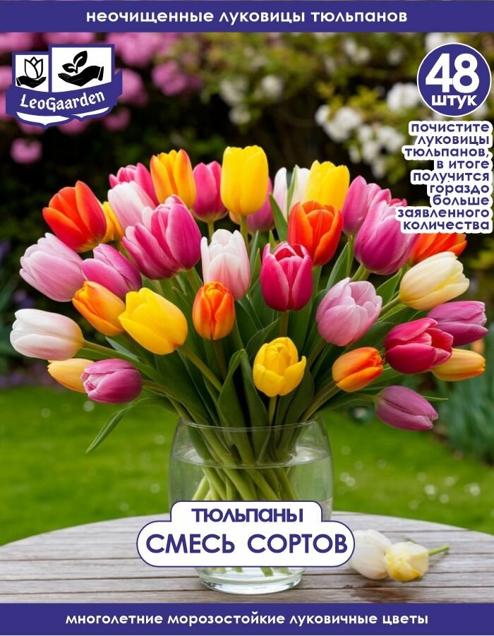 Тюльпан Луковицы неочищенные, Микс сортов, 48шт
