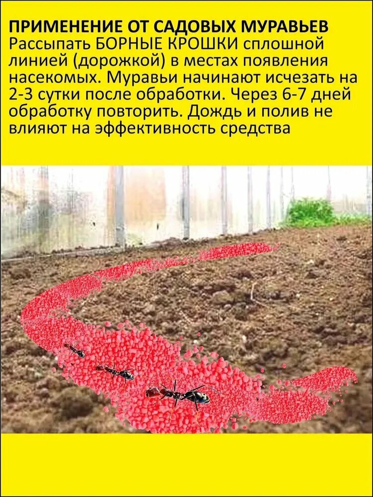 Самый популярный в 2025 годуСредство от муравьев, тараканов, мокриц, мух, ос Чипсы борной кислоты 1, 2 упаковки по 200 г порошка борной кислоты11