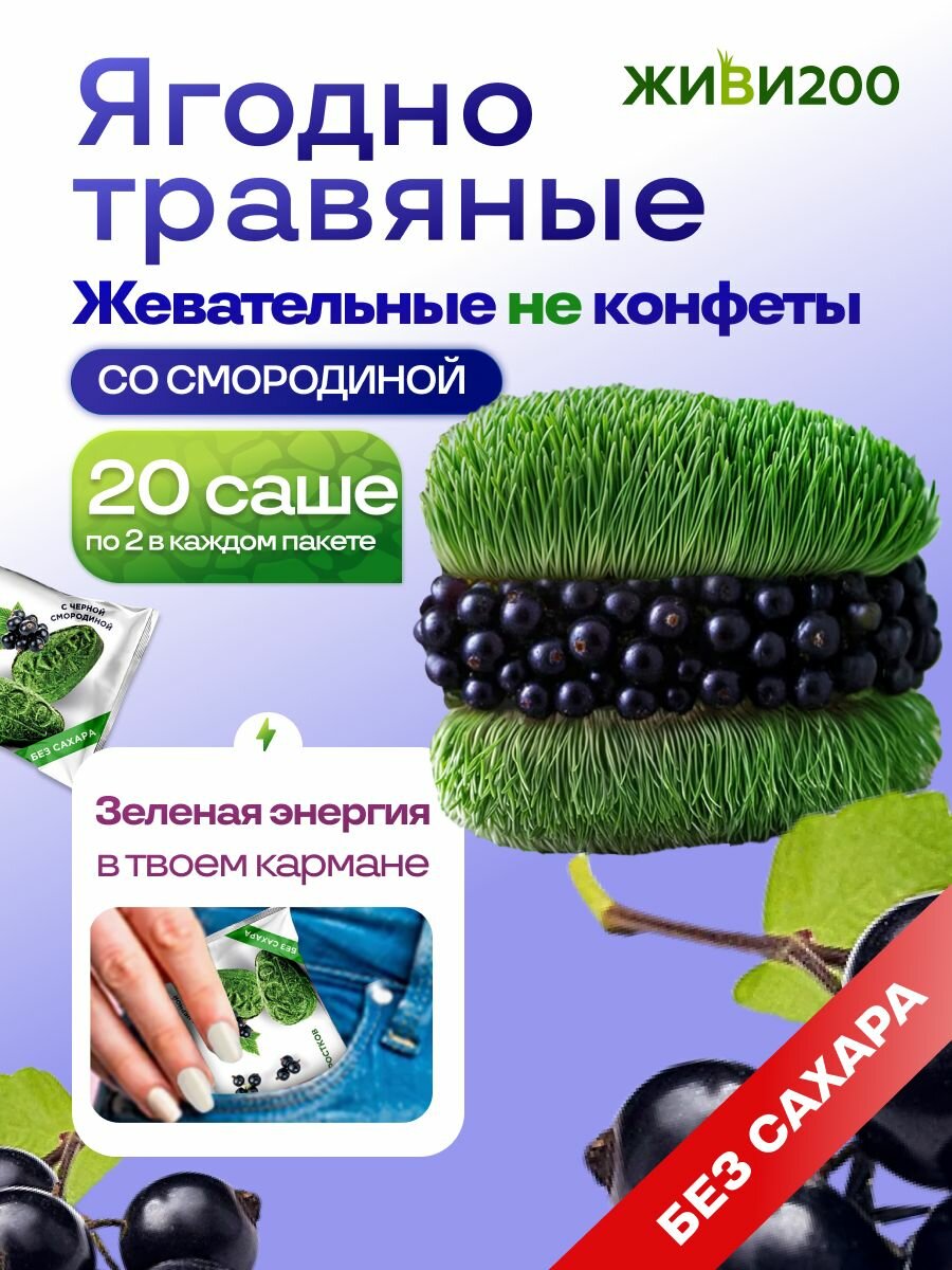 Ягодно травяные жевательные НЕ конфеты. Витграсс + черная смородина 20 шт.