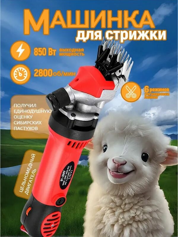 Машинка для стрижки овец и баранов