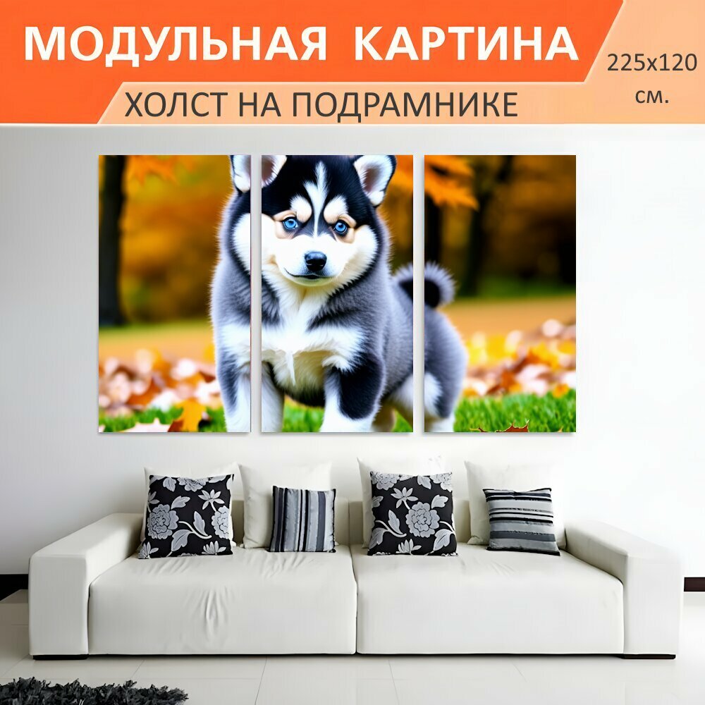Модульная картина на холсте "Щенок породы помски, окрас черно-белый с серым, уши стоячие, глаза голубые, хвост пушистый, стоит на." триптих на подрамнике 225х120 см. для интерьера