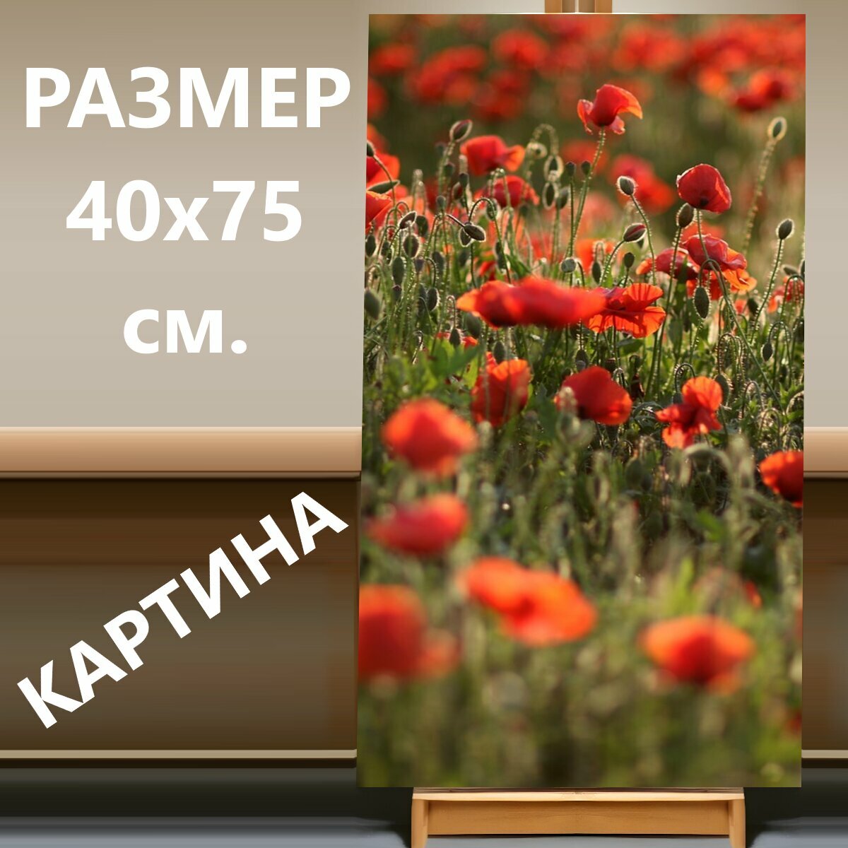 Картина на холсте "Маки, красный, простой" на подрамнике 75х40 см. для интерьера