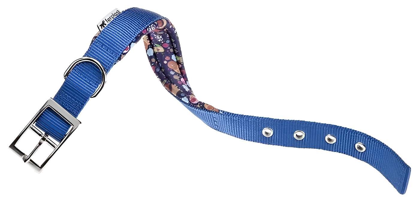 Ferplast ошейник нейлоновый Daytona Fantasy C25/45 25mm *45sm, регулируемый