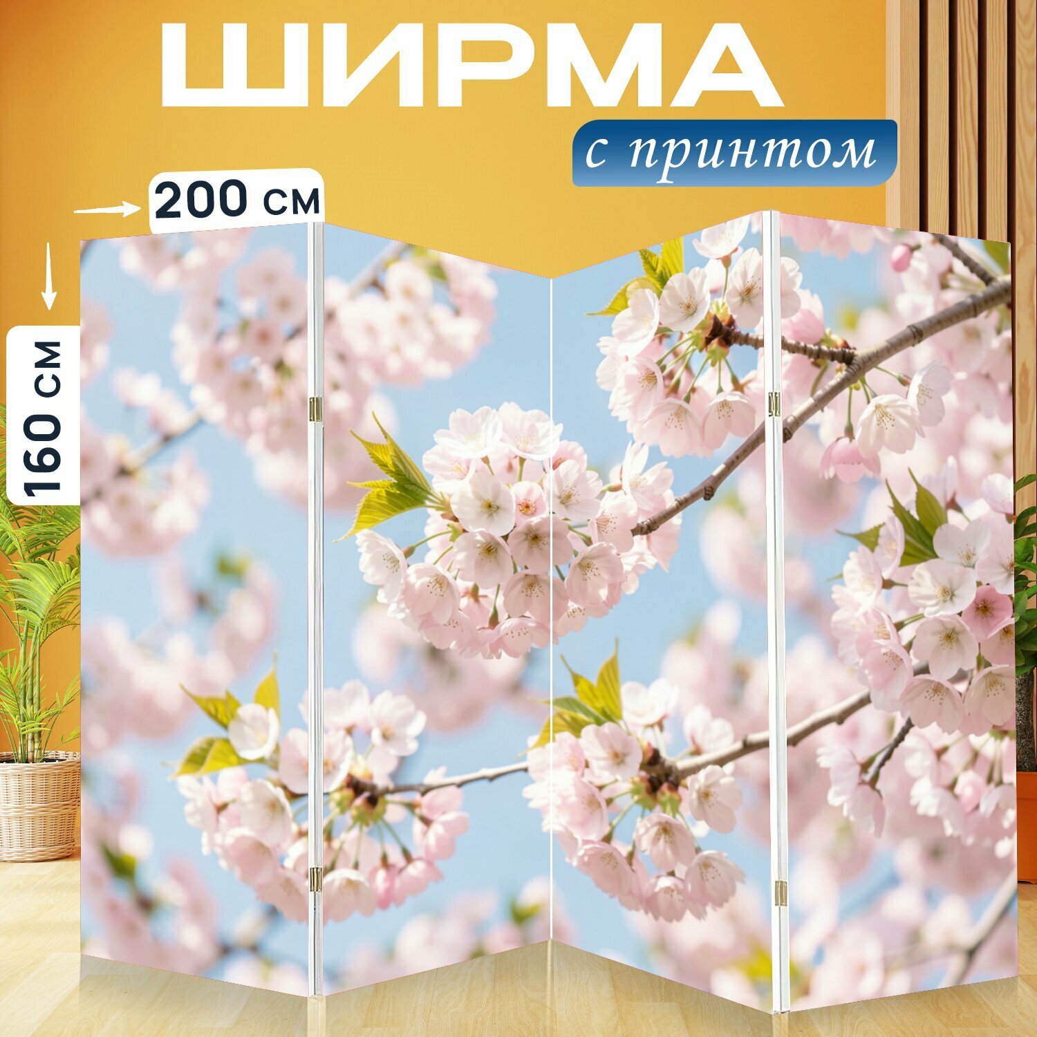 Ширма "Нежные ветви цветущей сакуры. Весенние цветущие ветви с розово-белыми лепестками и свежей зеленью на." перегородка для зонирования комнаты с принтом 200x160 см. на холсте