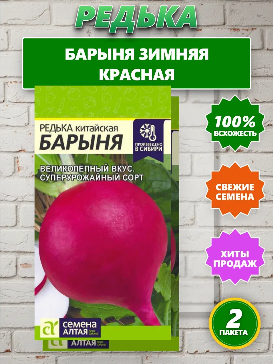 Семена редьки Барыня Зимняя Красная (2 пакета) для открытого грунта, Семена Алтая