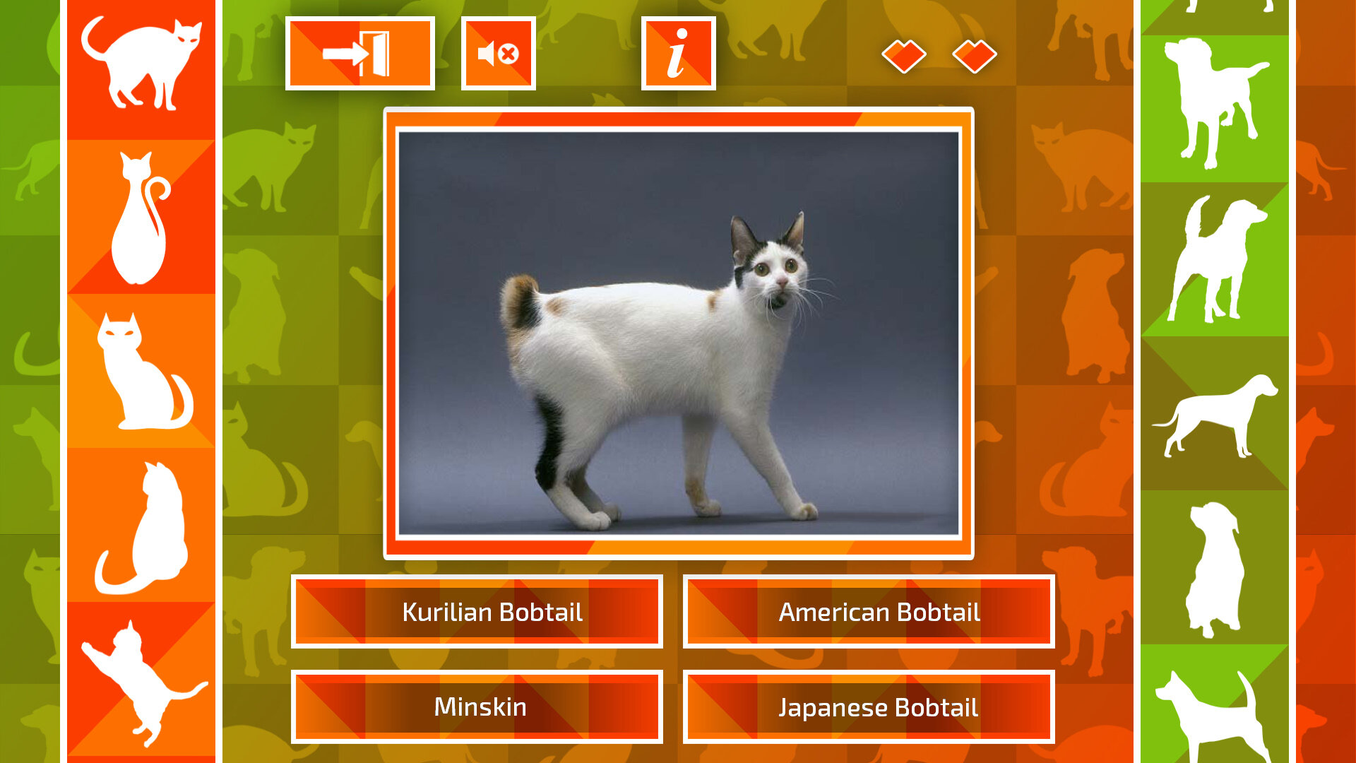 JQ: dogs & cats PC Steam Ключ • Активация Steam • регион Весь мир