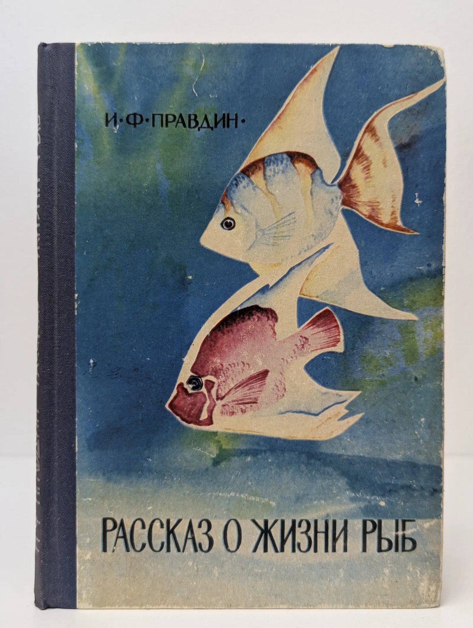 Рассказ о жизни рыб Правдин Иван Федорович 1972