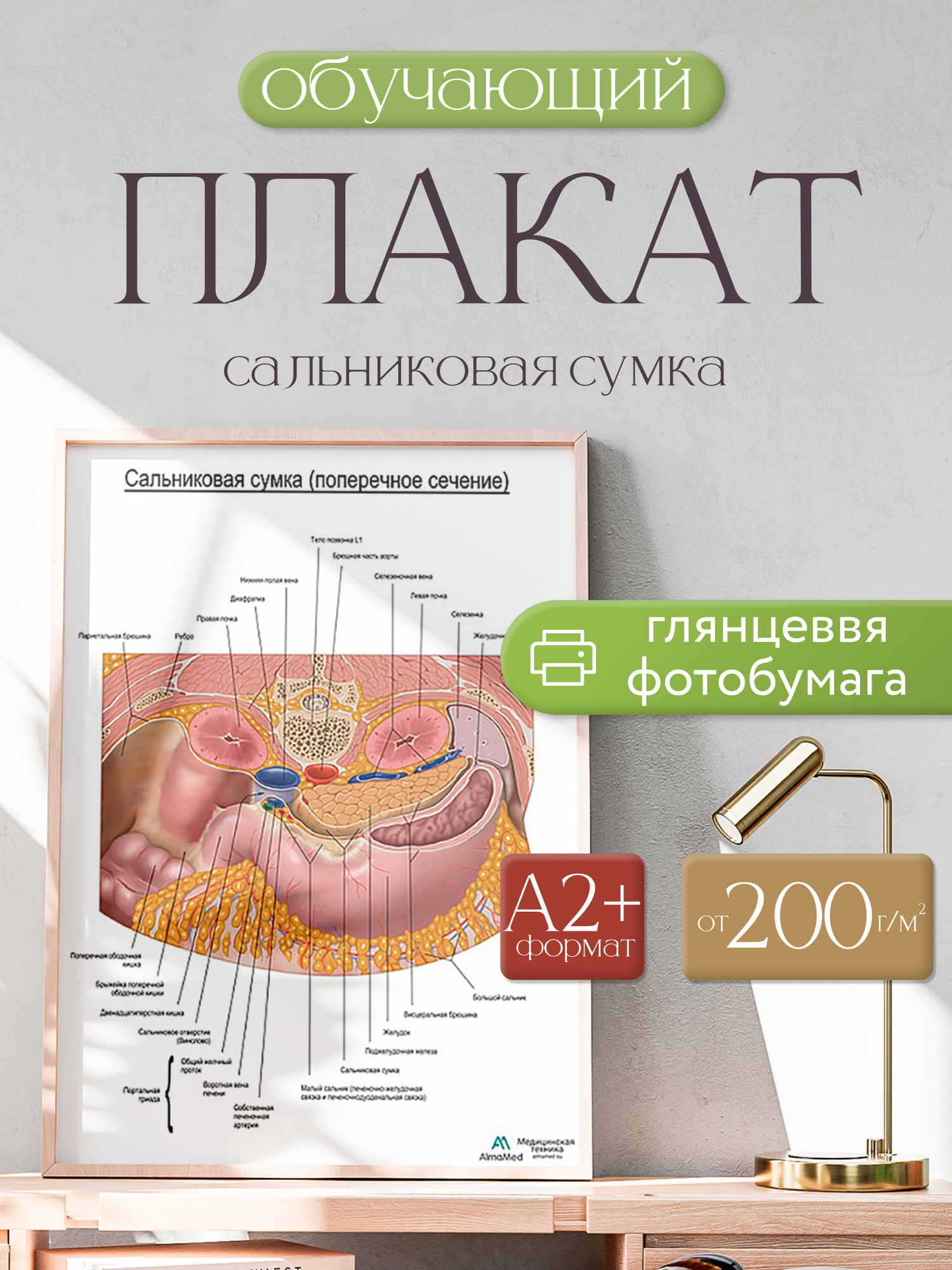 Обучающий плакат "Сальниковая сумка. Поперечное сечение", размер А2+, глянцевая фотобумага от 200г/м2