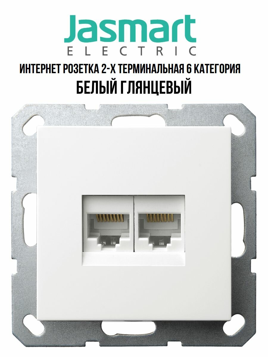 Интернет розетка 2х терминальная 6 категория