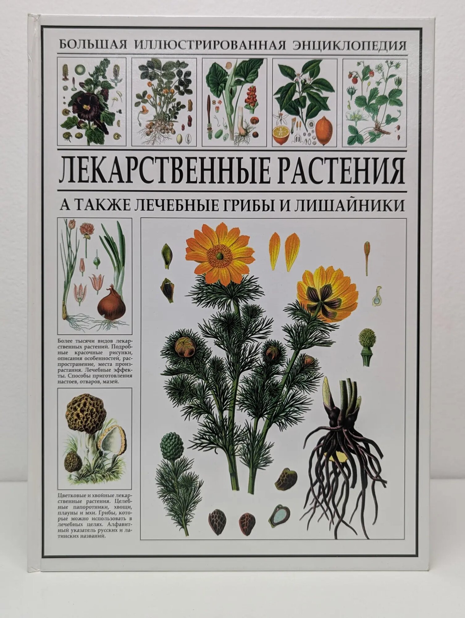 Большая иллюстрированная энциклопедия. Лекарственные растения Афонькин Сергей Юрьевич (ред.) 2017