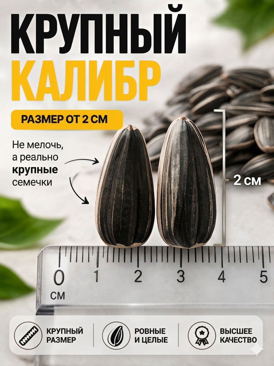 Семечки подсолнечника Дакота, полосатые, крупные, сырые, неочищенные, 500г