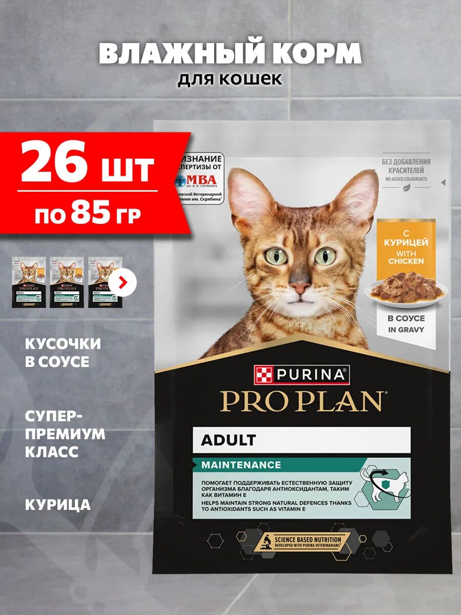 Корм влажный Pro Plan Maintenance для взрослых кошек, курица в соусе, 85 г 26 шт