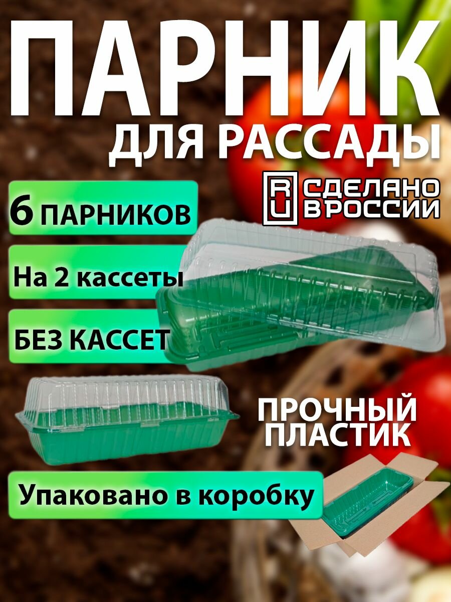 Парник для рассады, минипарник на 2 вставки - без кассет, 6 штук в наборе, комплект из шести мини-теплиц, 6 тепличек