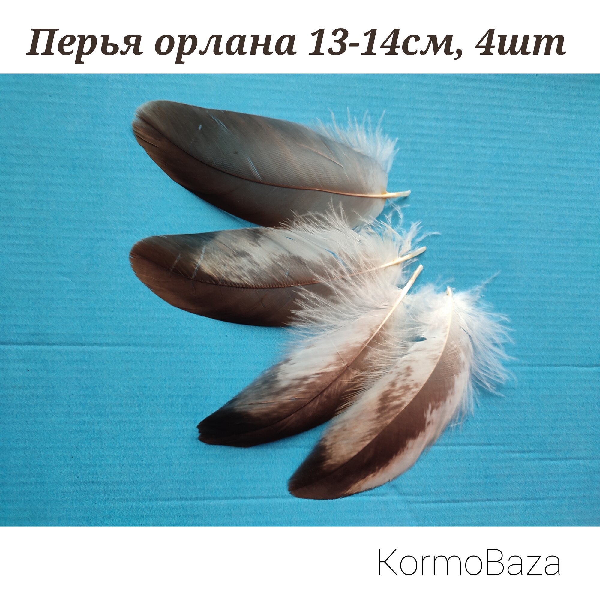 Натуральные перья хищной птицы (орлана), 4шт