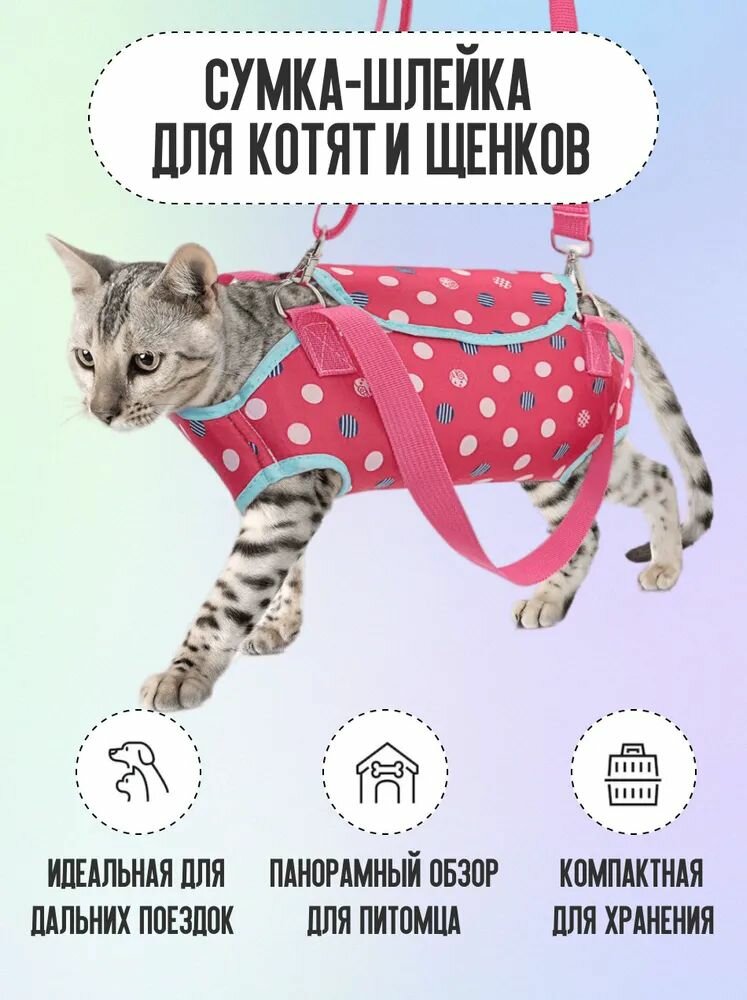 Шлейка для котят, щенков и кроликов с поводком / Шлейка для собак мелких пород
