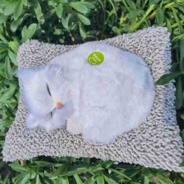 Бамбуковый уголь, мяукающая кошечка для приборной панели с пледом - Белая, 12x8x7см