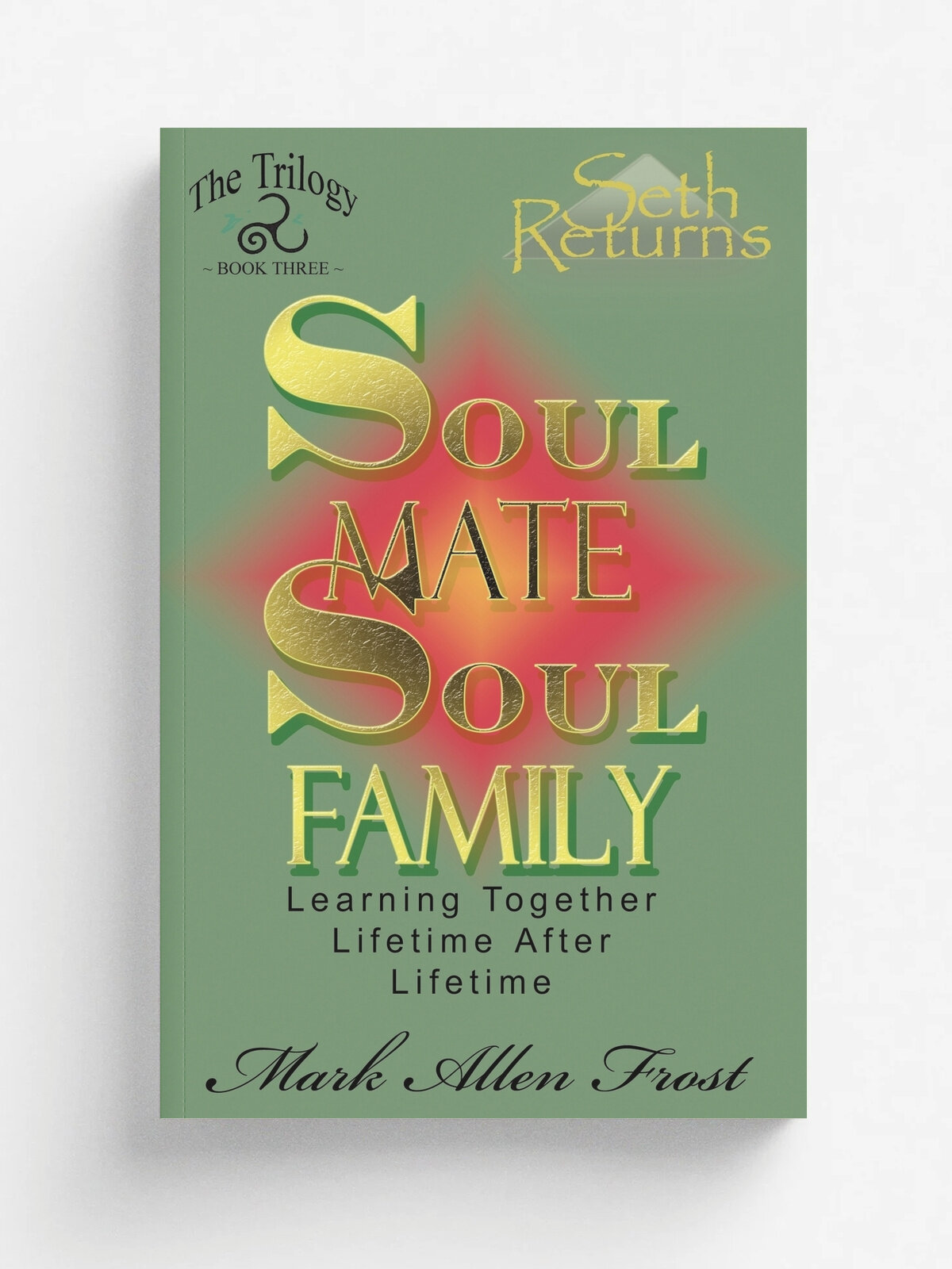 Soul Mate Soul Family