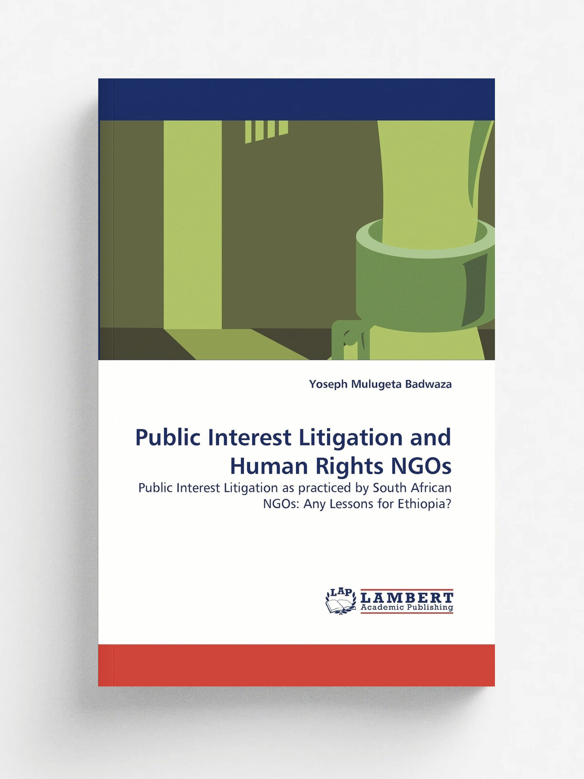 Public Interest Litigation and Human Rights NGOs