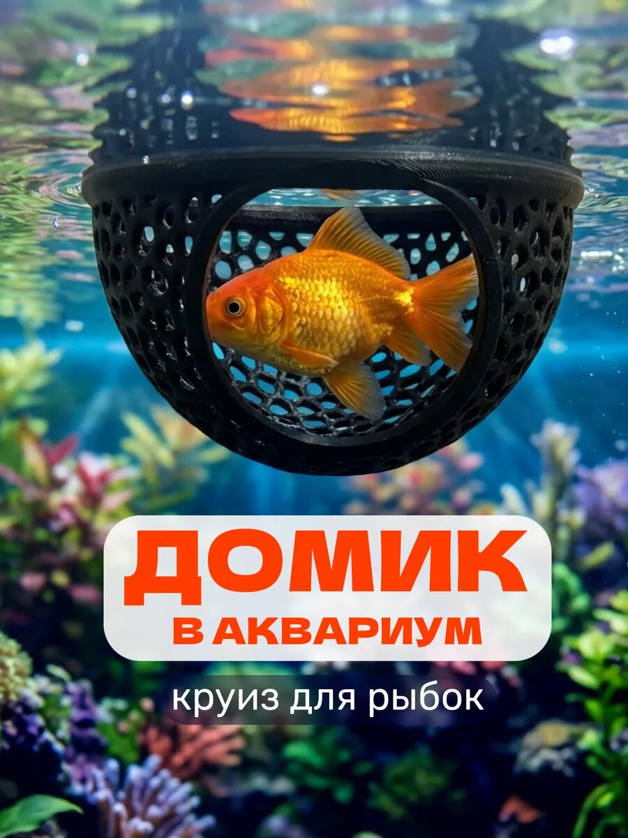 Домик и кормушка для петушков, цихлид и других рыб