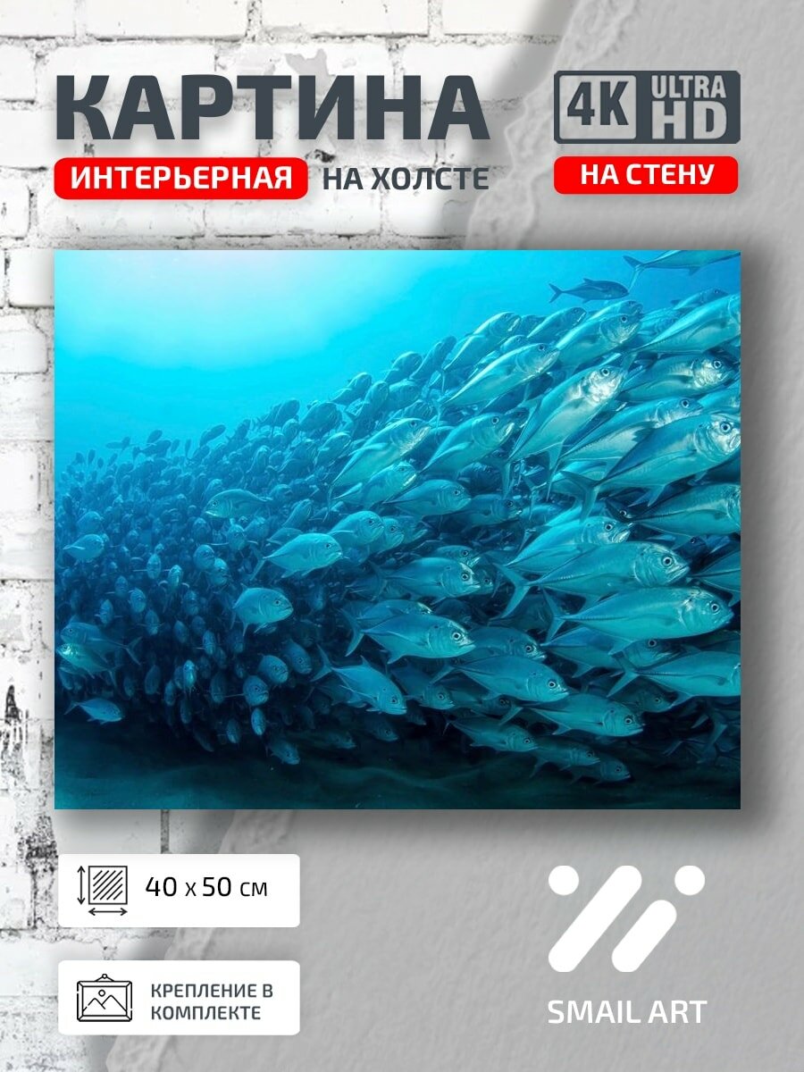 Картина на холсте интерьерная 40 на 50 на стену Птицы рыбы для офиса атмосфера