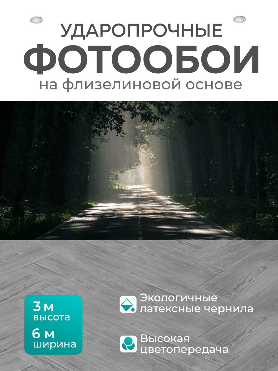 Фотообои моющиеся ударопрочные "Дорога, проспект, деревья" 600x300 см. флизелиновые на стену