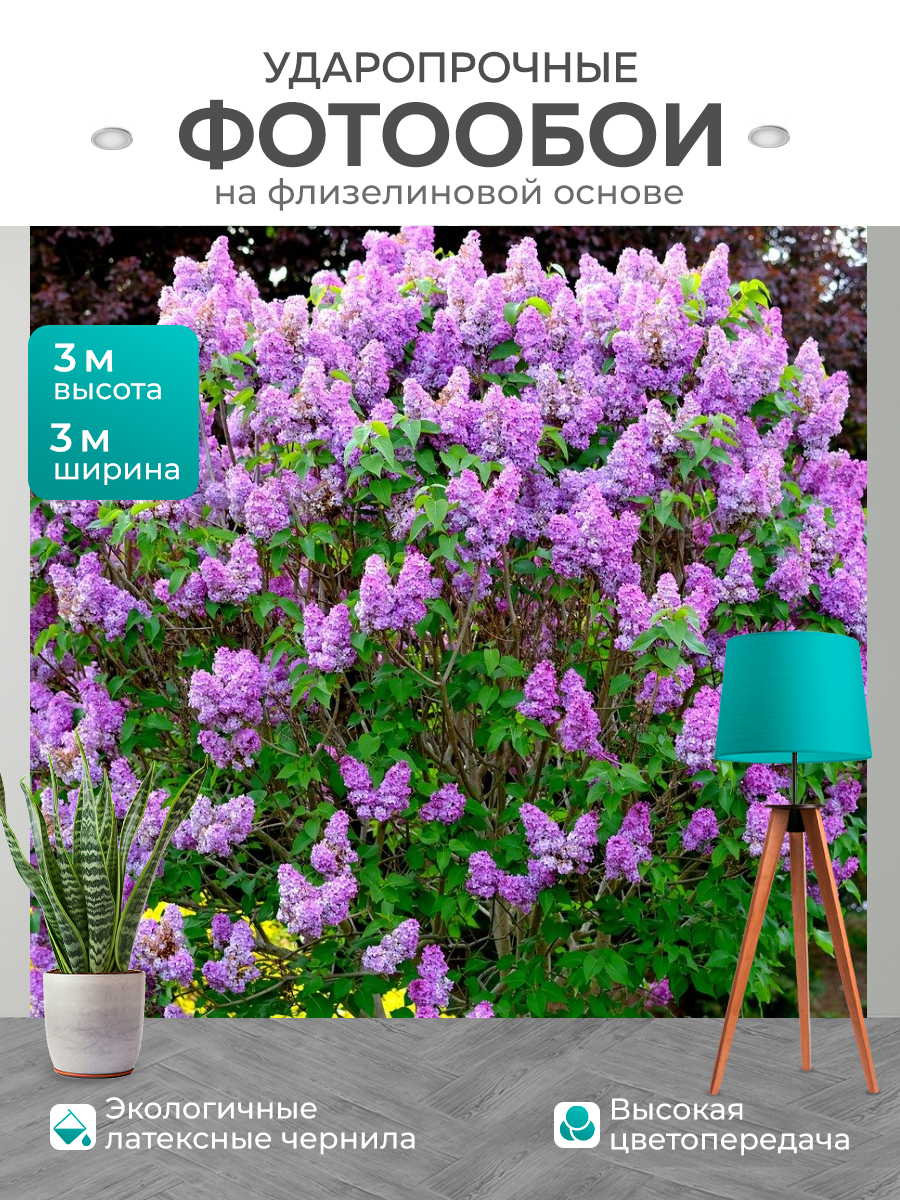 Фотообои моющиеся ударопрочные "Куст сирени, декоративный кустарник, сирень" 300x300 см. флизелиновые на стену