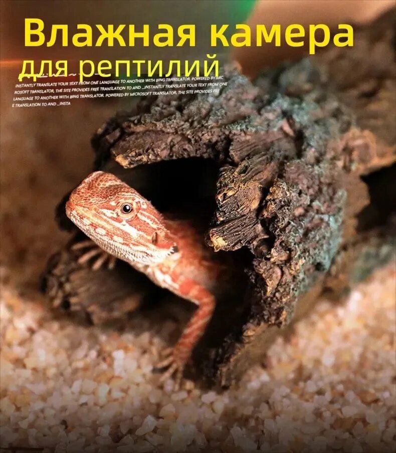 Влажная камера для рептилий /укрытие для рептилий, декор для террариума
