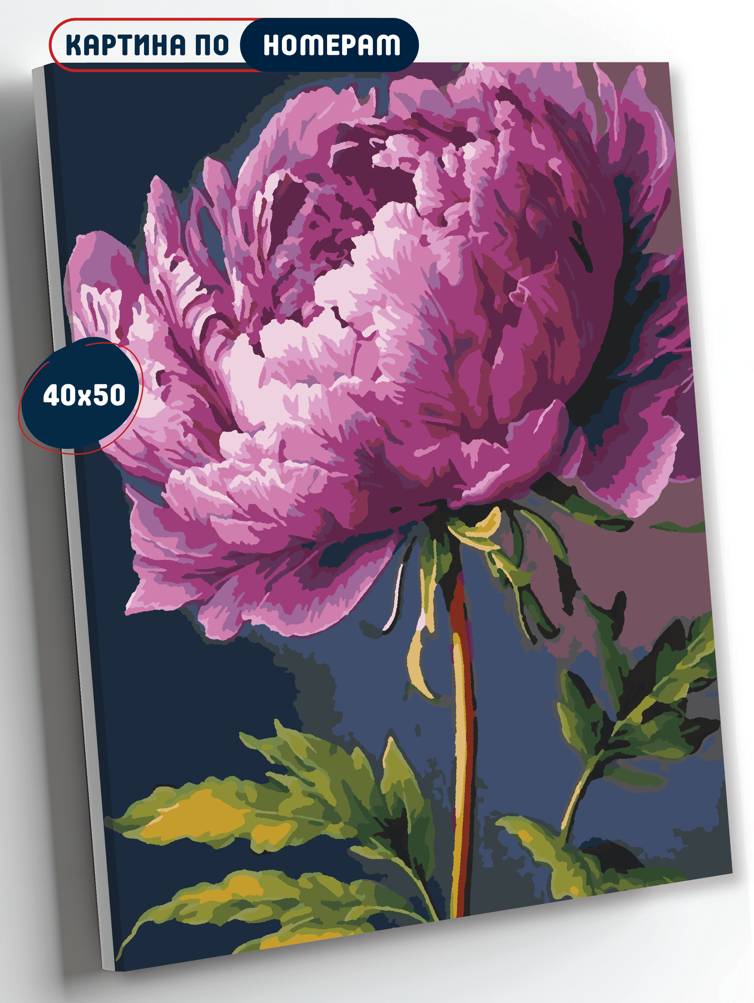 Картина по номерам "Пион", Холст на подрамнике 40х50, набор для рисования, с цветами