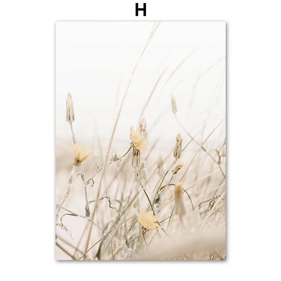 Настенное полотно "Тростник пляж" H, 50X70 cm No Framed