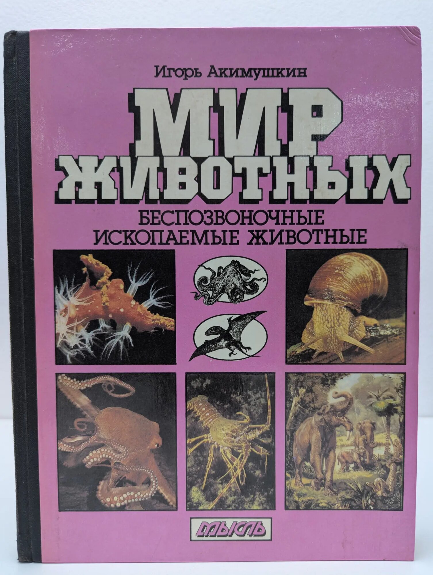 Мир животных. Беспозвоночные. Ископаемые животные Акимушкин Игорь Иванович 1999